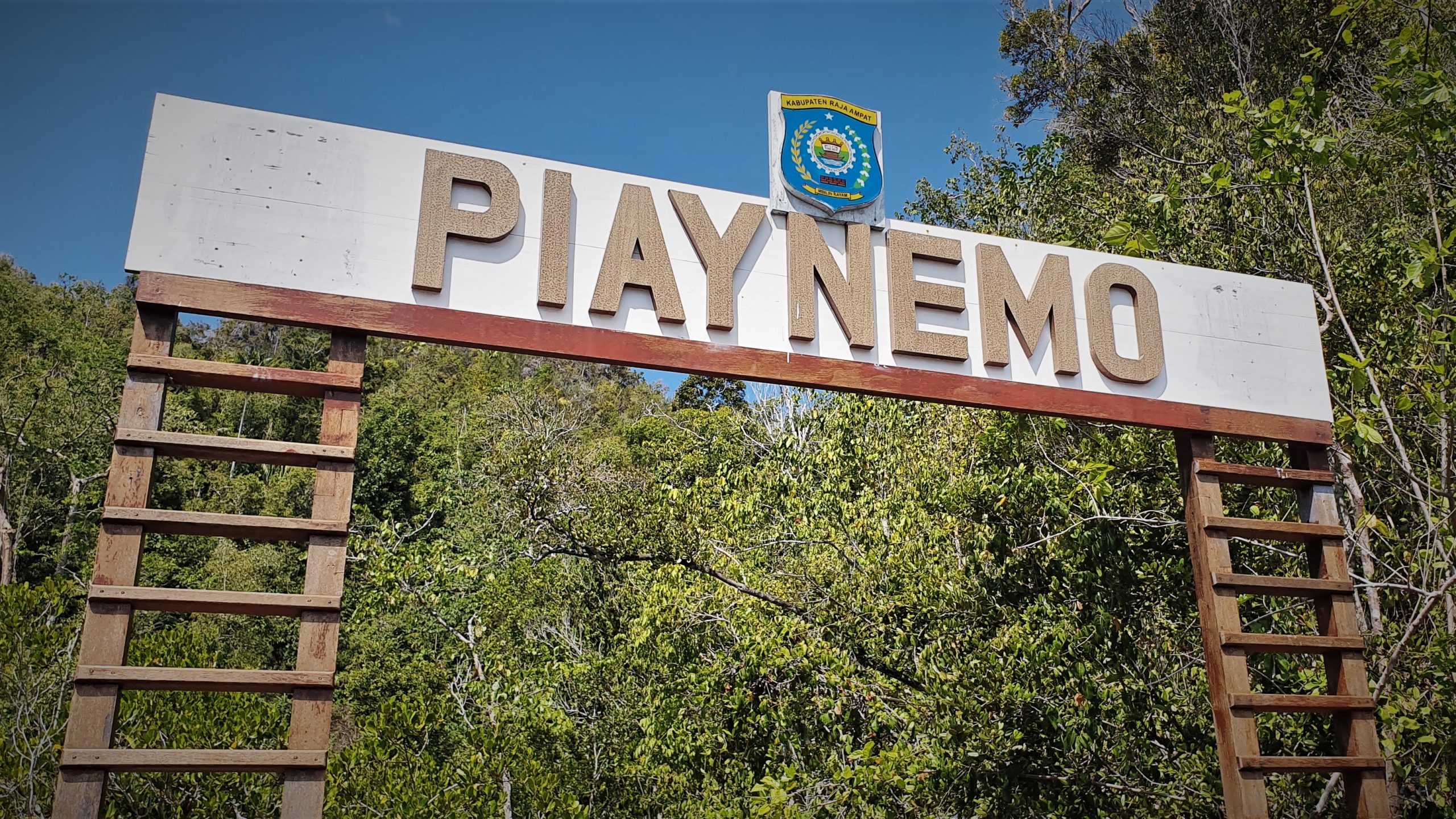 Diving Piaynemo - Fam Islands - Raja Ampat - divetip.com